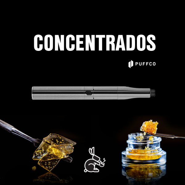 Puffco Plus & Plus Vision Chamber | Rabbit Smokers | Smokeshop en ...